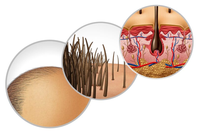 Hair Anatomy: Everything You Need to Know - 2020 Facts