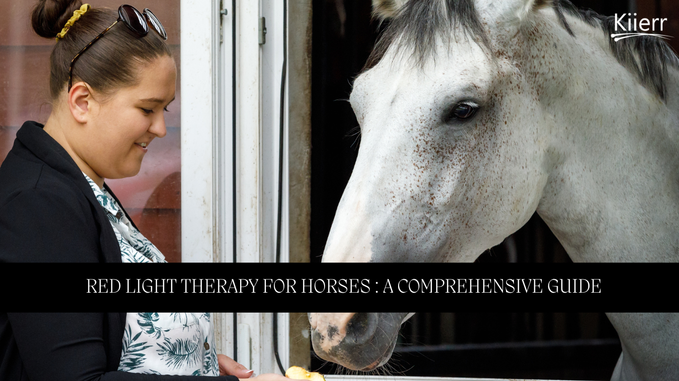 Red Light Therapy for Horses: A Comprehensive Guide - Kiierr Laser Hair ...